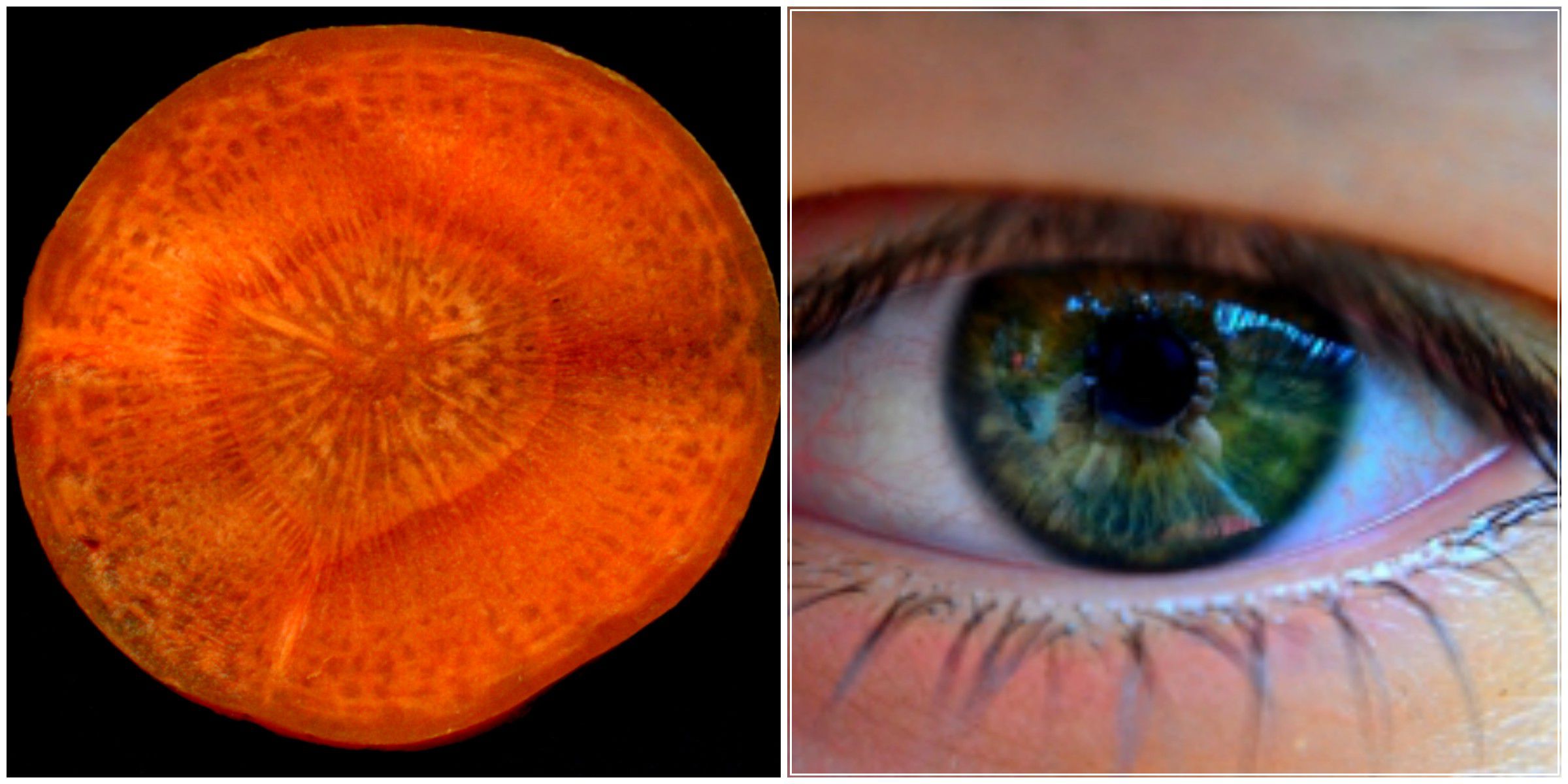 Foods That Resemble Body Parts They Benefit – Guide to the Body’s Galaxy